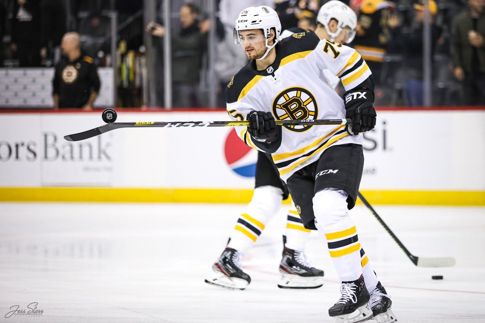 Boston Bruins' 2020-21 Defensive Depth Chart
