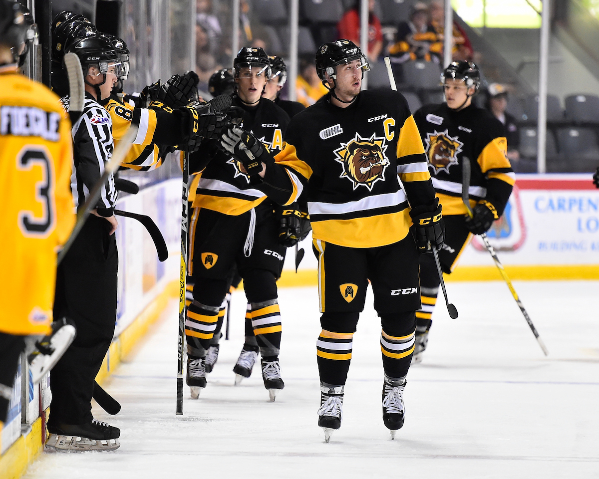 Hamilton Bulldogs Will Have Interesting Offseason