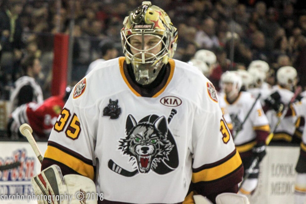 Chicago Wolves 2018-19 Season In Review