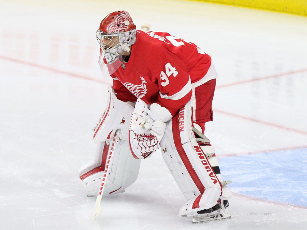 Petr Mrazek Staying With Red Wings