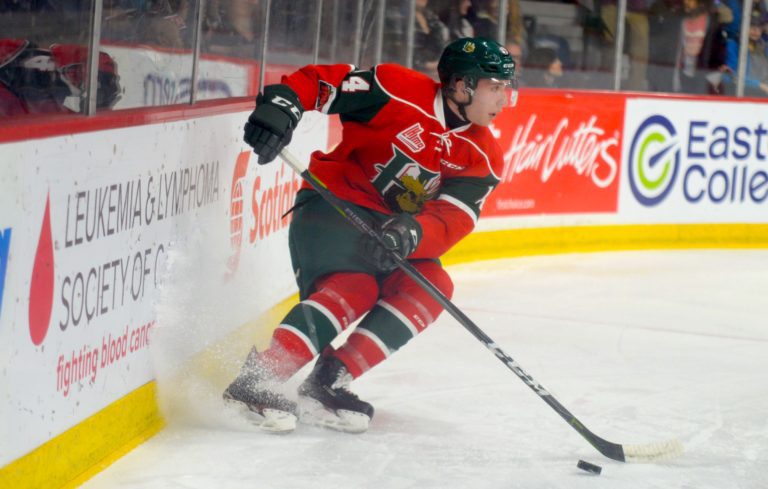 The Other Detroit Red Wings Draft Picks & Where They Fit
