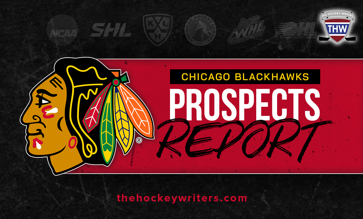 Blackhawks Prospects Report: Levshunov, Nazar & More - The Hockey ...