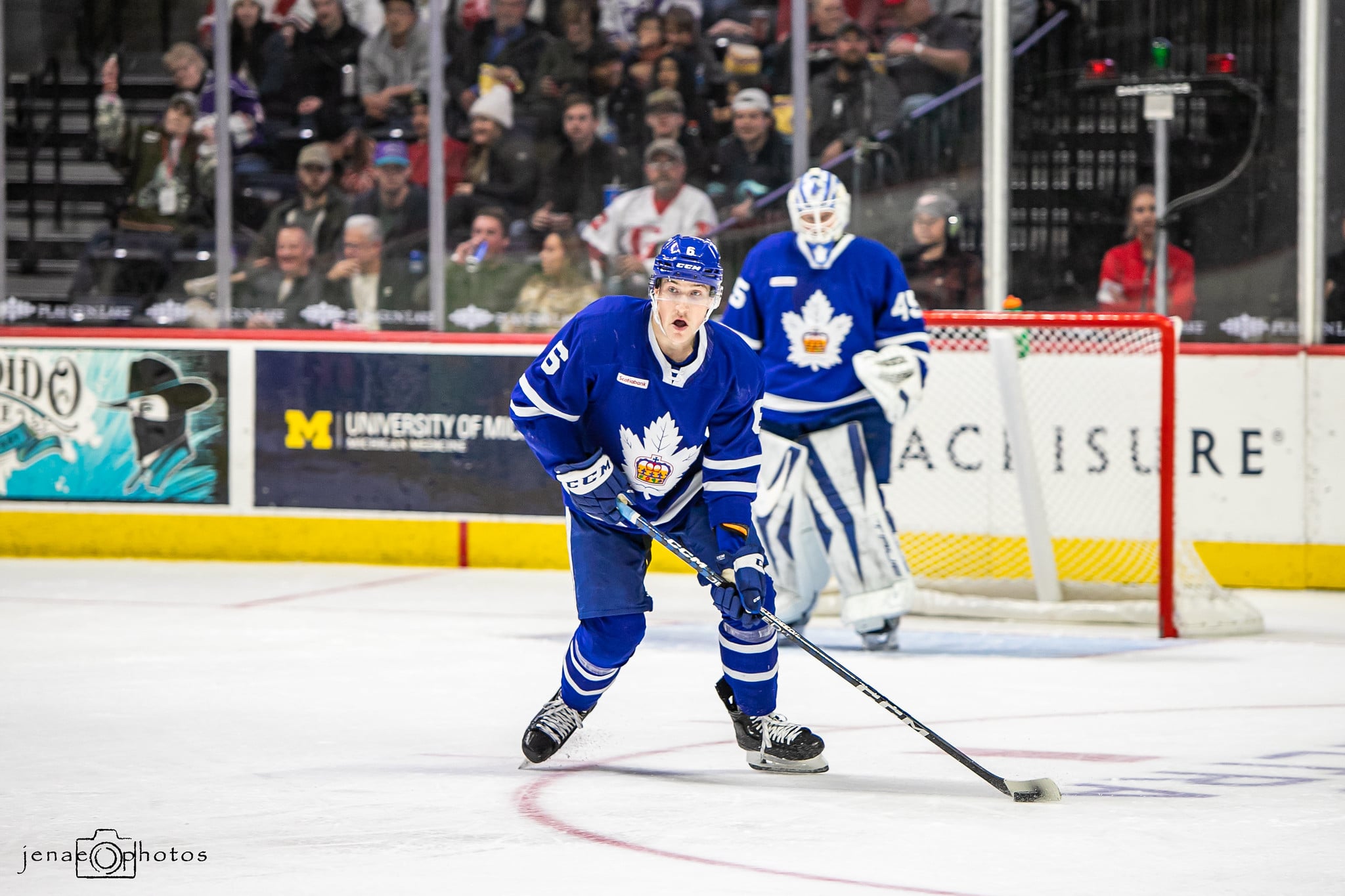 Toronto Maple Leafs News & Rumours: Rifai’s Surgery, Robertson’s Shot ...