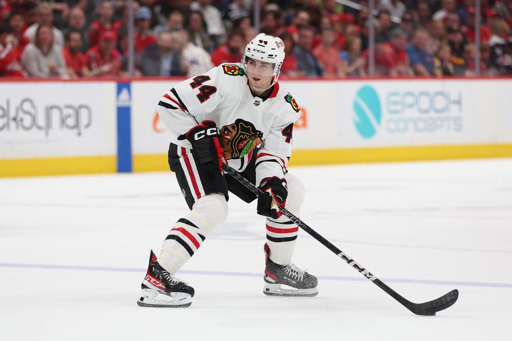 Wyatt Kaiser: Bio, Stats, News & More - The Hockey Writers