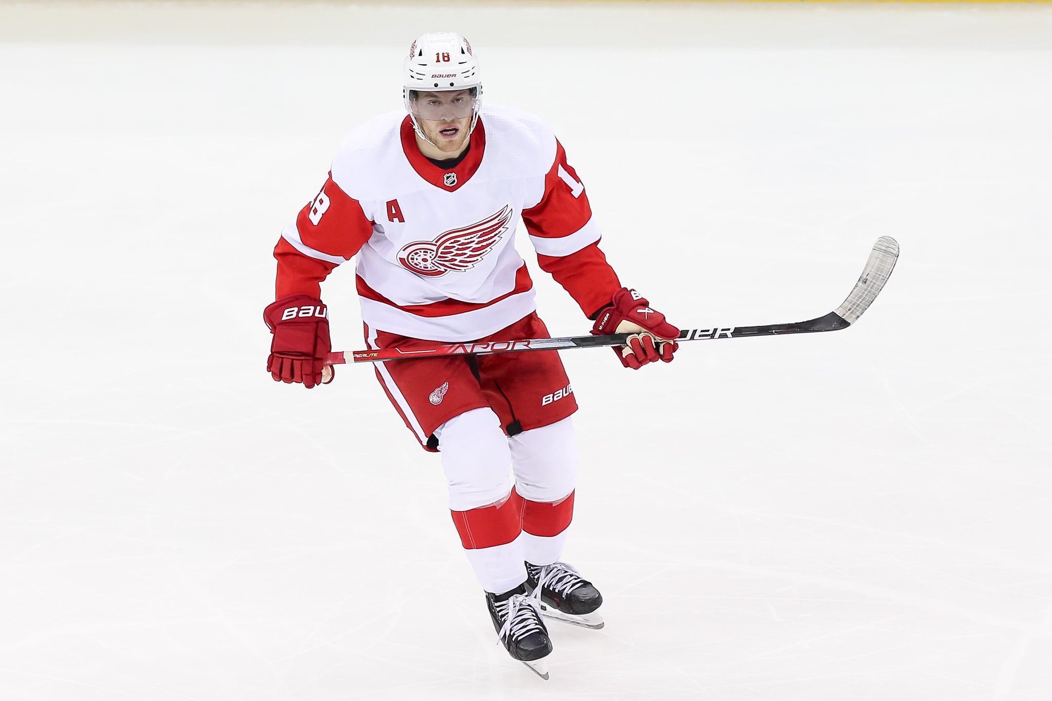 Andrew Copp Is the Red Wings' Unsung Hero This Season - The Hockey ...