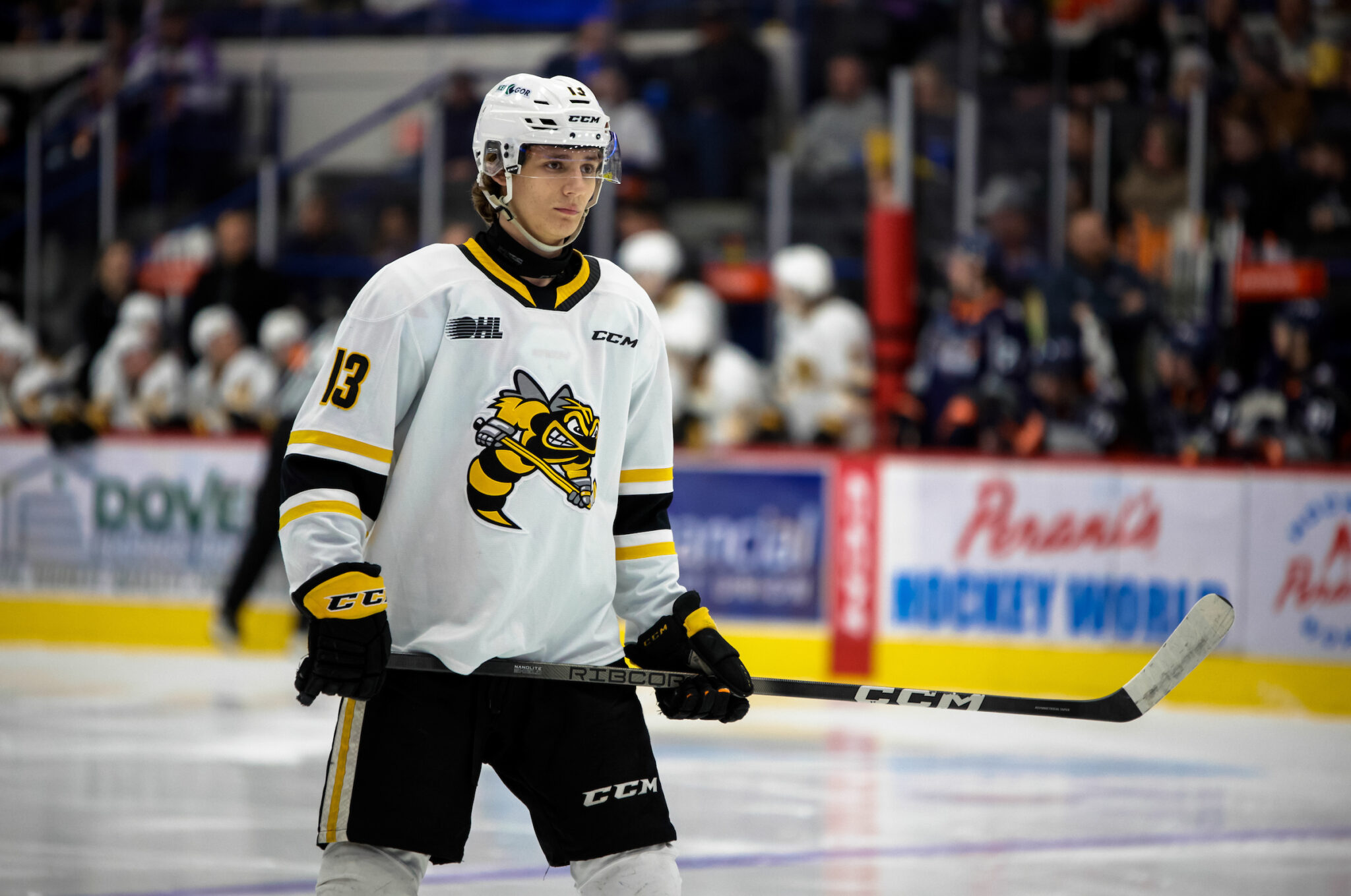 Lukas Fischer — 2024 NHL Draft Prospect Profile - The Hockey Writers ...