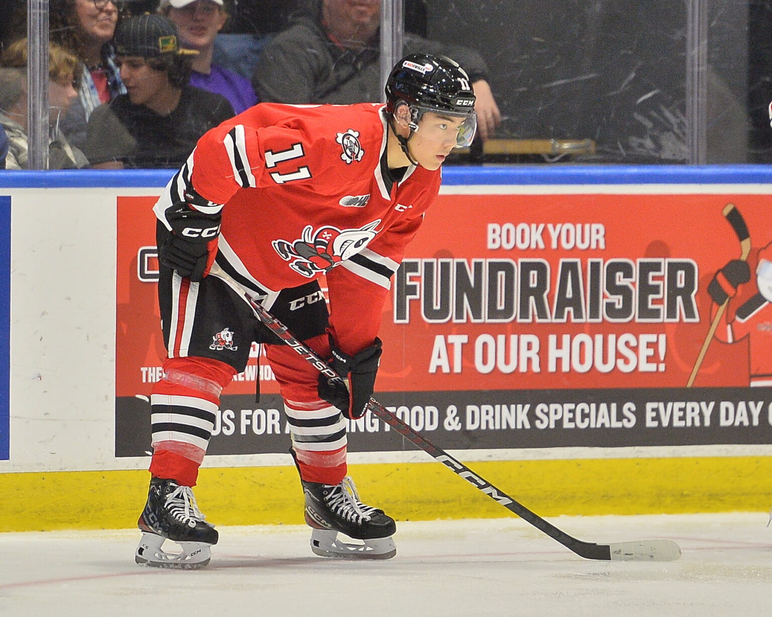 Kevin He - 2024 NHL Draft Prospect Profile - The Hockey Writers - NHL ...