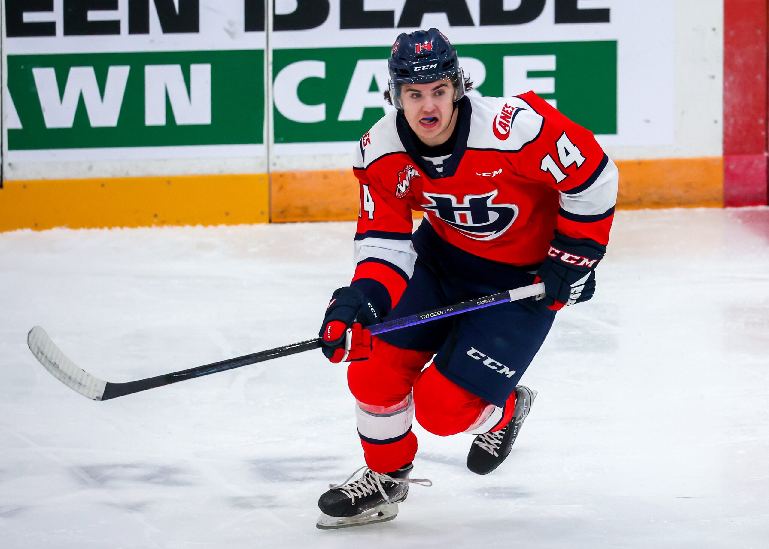 Miguel Marques - 2024 NHL Draft Prospect Profile - The Hockey Writers ...