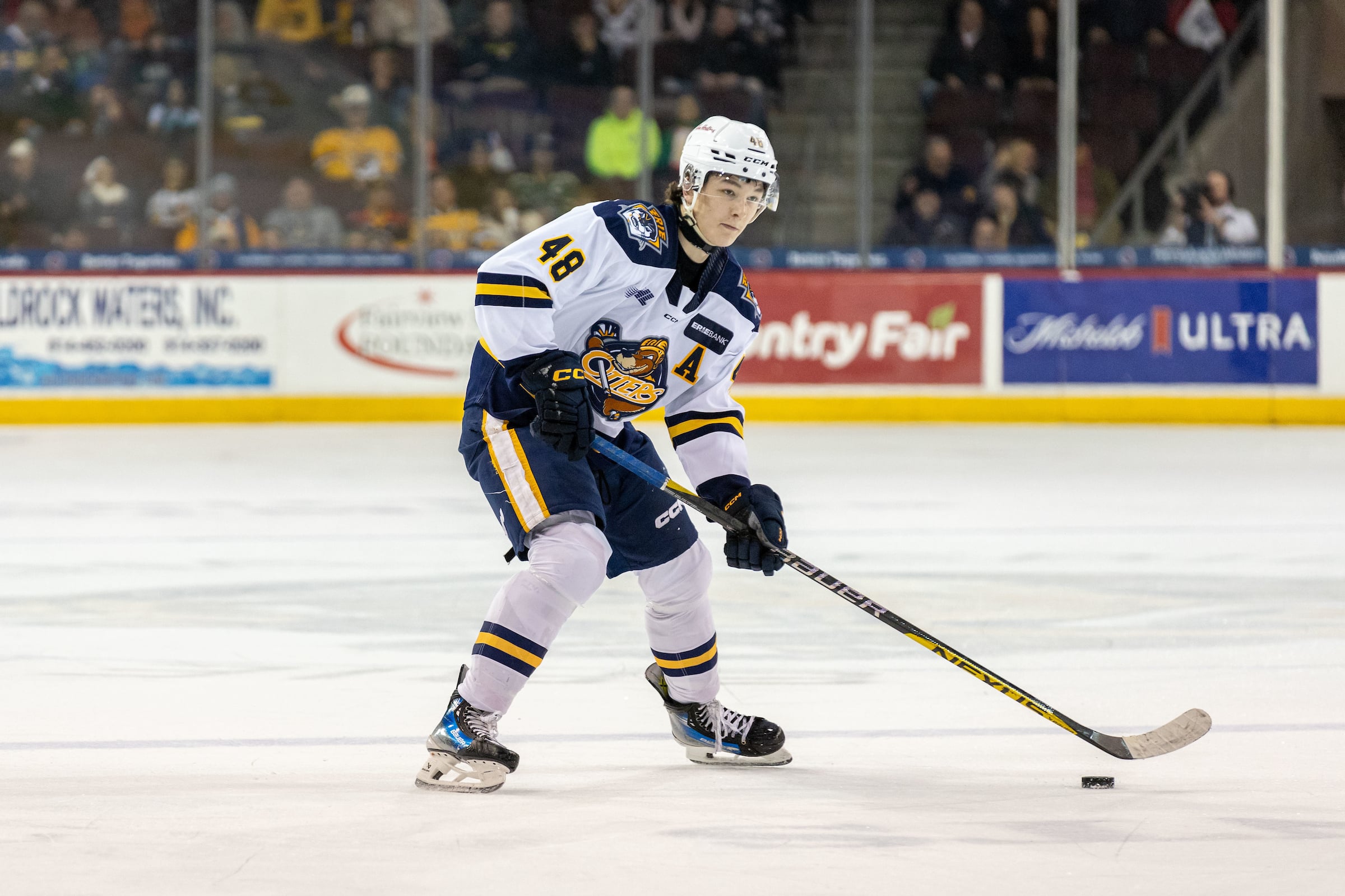The Islanders' Prospects And Where They Fit - The Hockey Writers - New ...