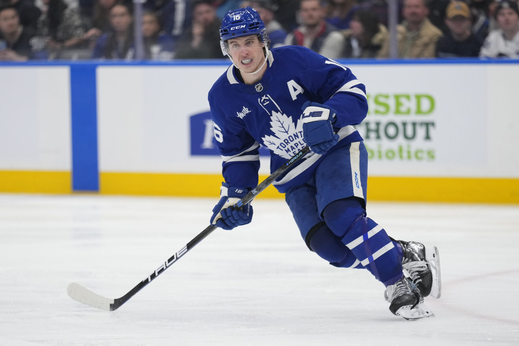 Toronto Maple Leafs’ Offseason Has Been a Nightmare - The Hockey ...
