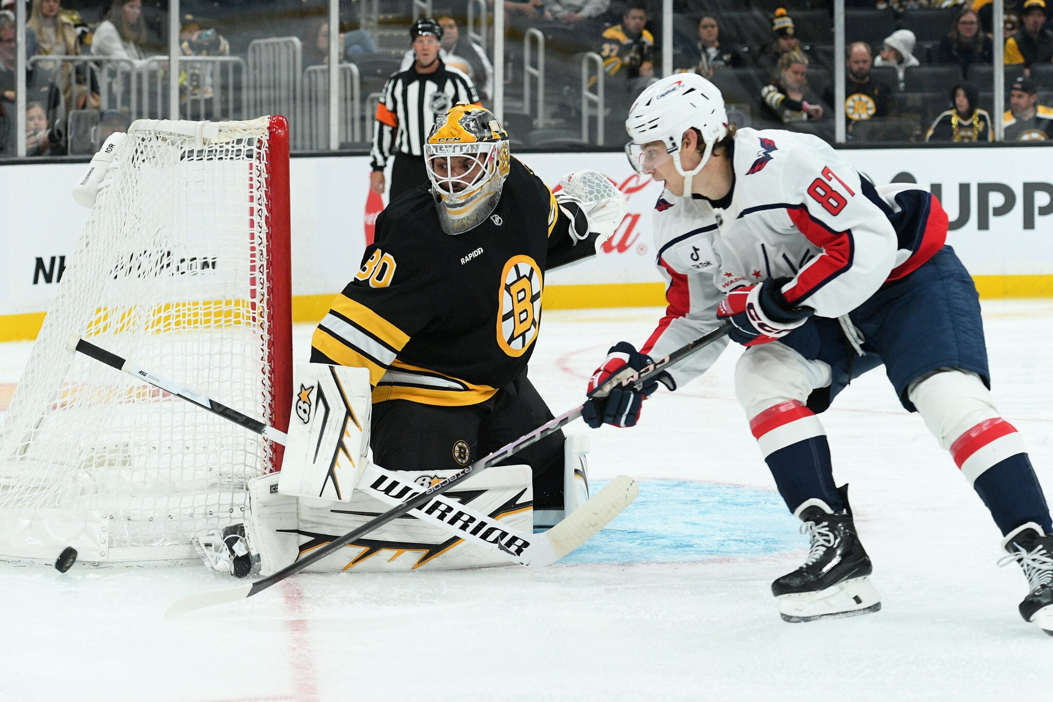 Boston Bruins' Michael DiPietro Is Giving Don Sweeney a Good Problem ...